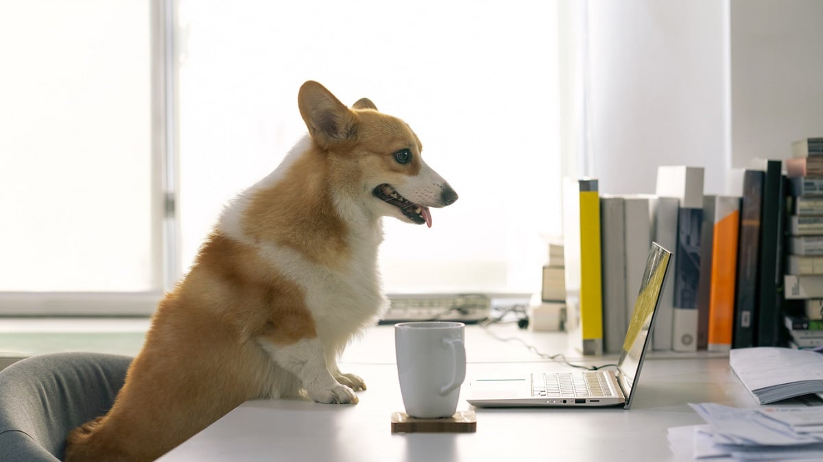 The Importance of Frivolity in a Virtual Work Environment